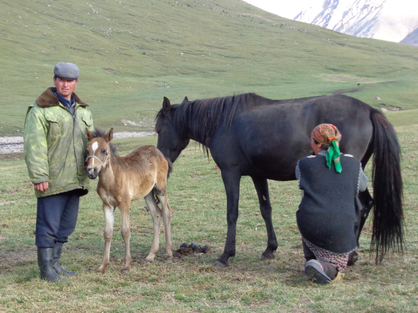 La chevauchée fantastique dans les montagnes kirghizes – Yanna Byls
